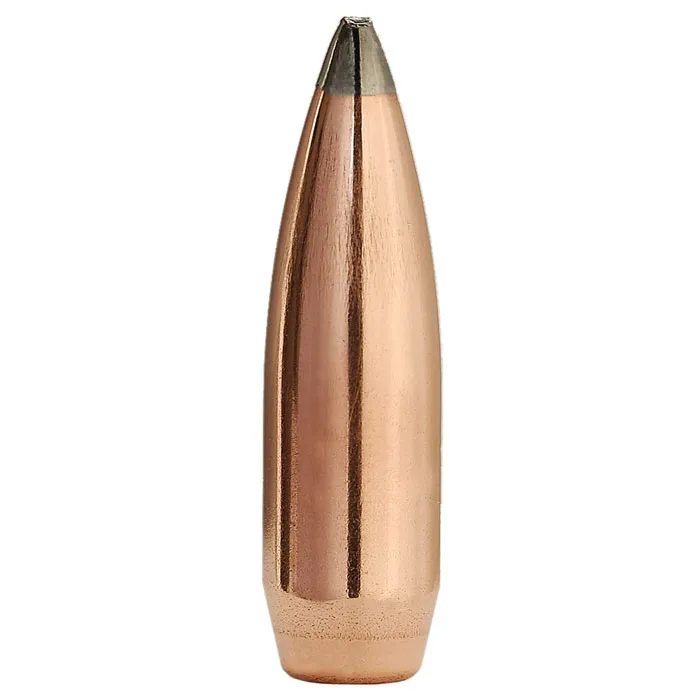 Rifle Bullets - Precision Reloading